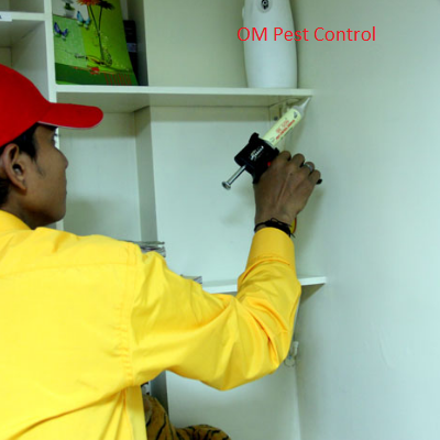 Ensuring a Pest-Free Home with Residential Pest Control Services: OM ...
