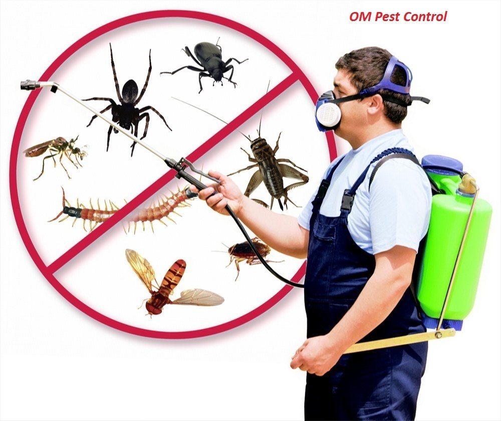 Defending Your Industrial Space: Effective Pest and Termite Control: OM ...